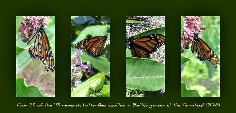 Monarch Butterfly Haiku by Bette A. Stevens (+FREE “Help Protect ...