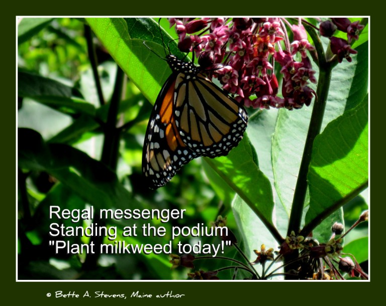 Monarch Butterfly Haiku by Bette A. Stevens (+FREE “Help Protect ...