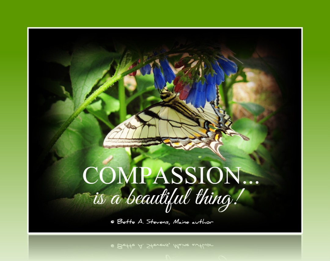 “COMPASSION” (poem) by Bette A. Stevens | Bette A. Stevens, Maine Author