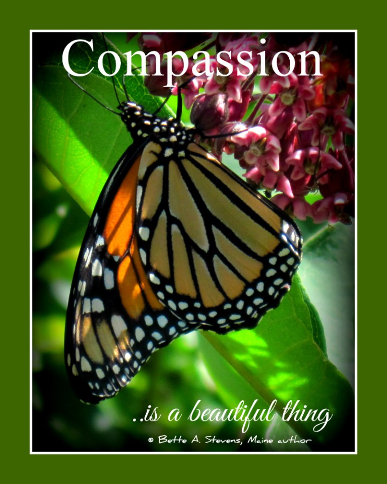 Compassion is a Beautiful Thing… (poem) by Bette A. Stevens | Bette A ...